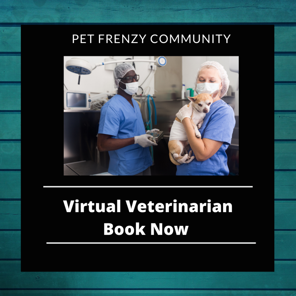Book Your Virtual Veterinarian Appointment now - Pet Frenzy Community